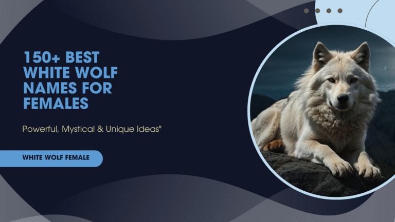 150+ Best White Wolf Names for Females: Powerful, Mystical & Unique ...