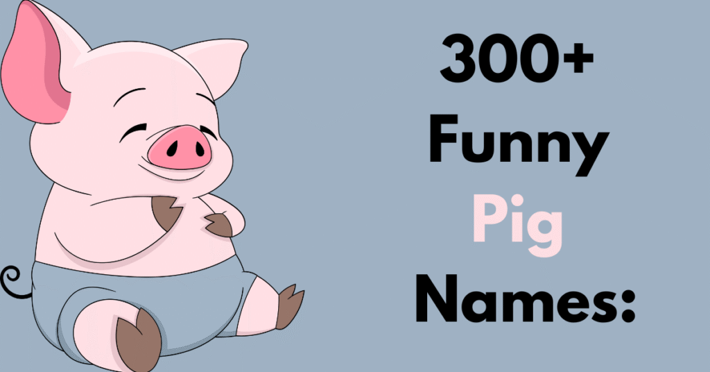 🐷 300+ Funny Pig Names: Hilarious and Creative Ideas for Your Oink ...
